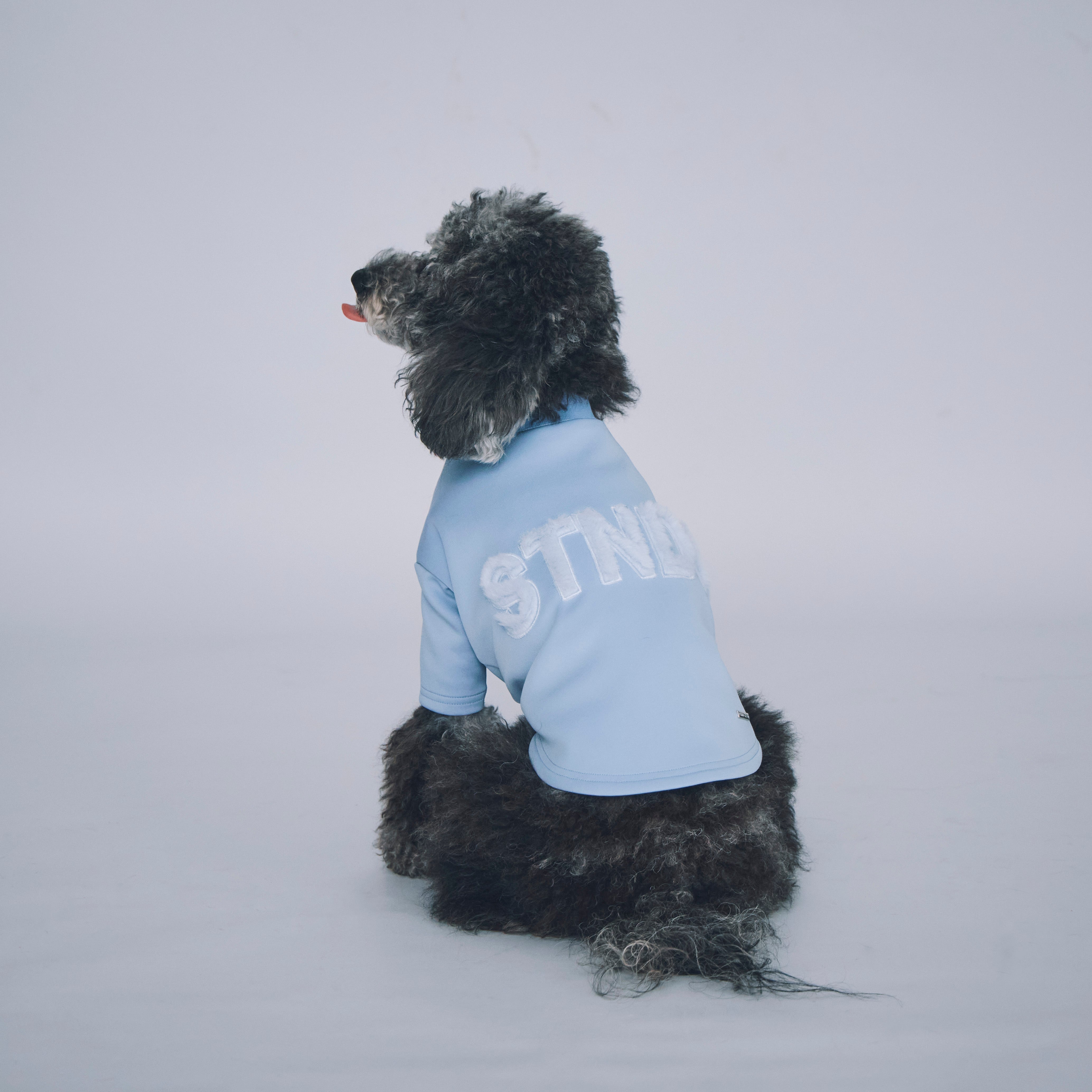 Cool Boa Pair T (dog) – STANDING ON THE BLUE